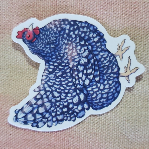 Office | B Plymouth Rock Chicken Sticker Rooster Sticker Hen Sticker ...
